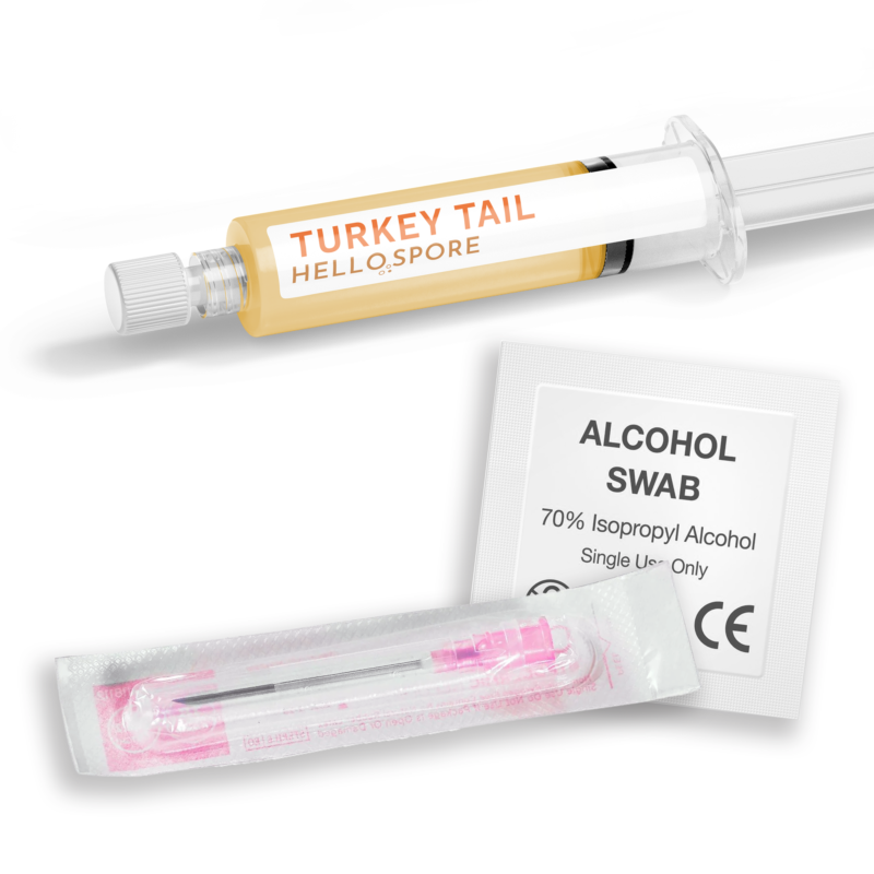 White Golden Teacher - hellospore