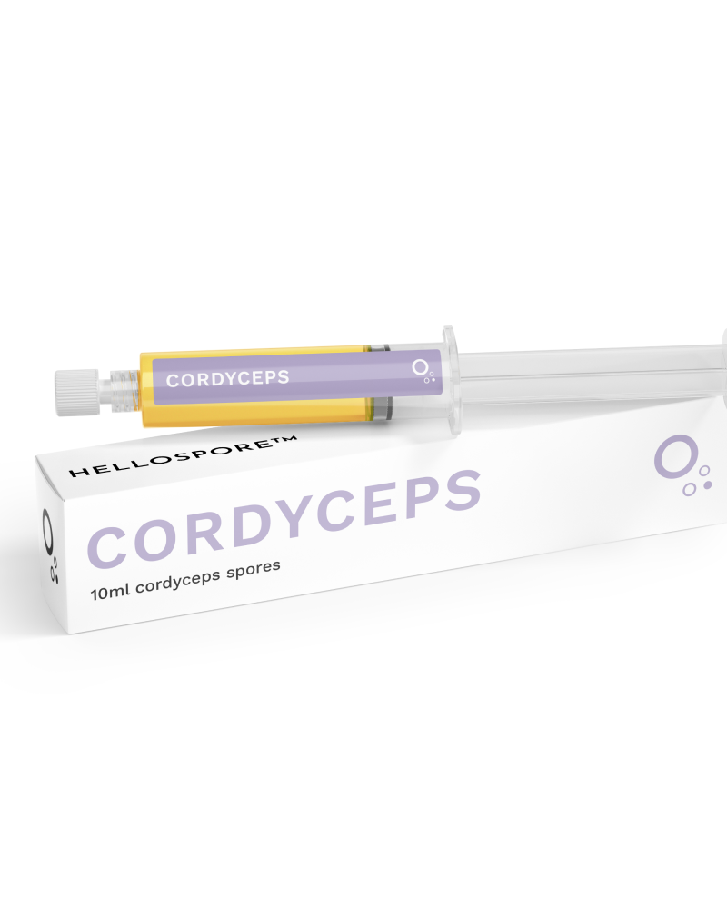 Cordyceps - hellospore