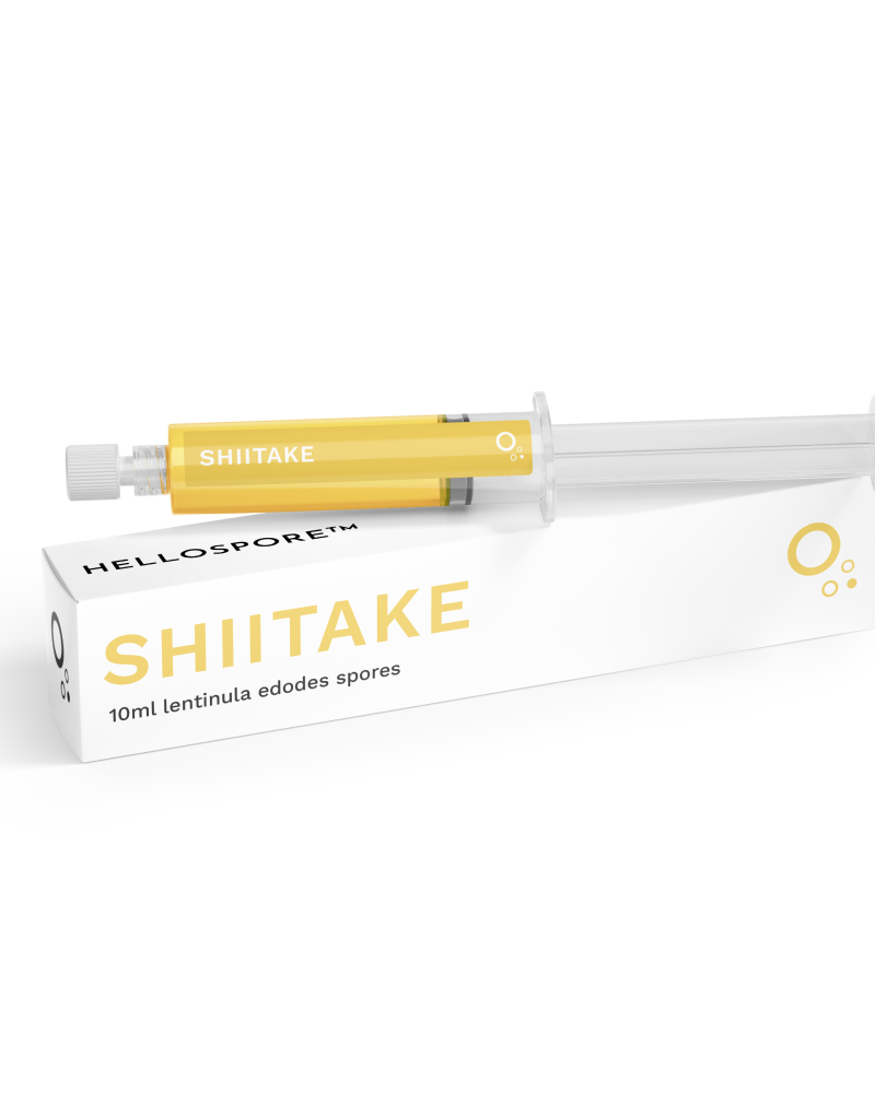 Shiitake - hellospore